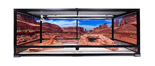 Reptile Habitat Background; Arches' Park Avenue, for 72Lx24Wx24H Terrarium, 3-Sided Wraparound