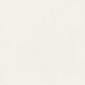 Light Gray Cardstock - 8.5 x 11 inch - 80Lb Cover - 50 Sheets - Clear Path Paper