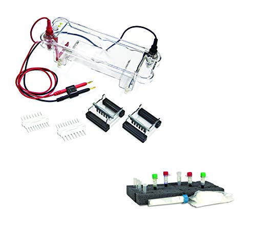 Parco Scientific PLE002P Electrophoresis Apparatus, 16 Samples per Gel, Two 7x7cm Casting Trays