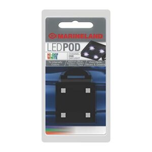 marineland high-def white led pod