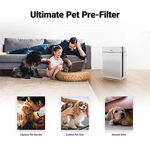 Winix HR900, Ultimate Pet 5 Stage True HEPA Filtration Air Purifier, 300 Sq. Ft, White