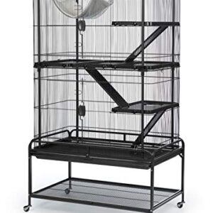 Prevue Pet Products Deluxe Critter Cage 484B, Black