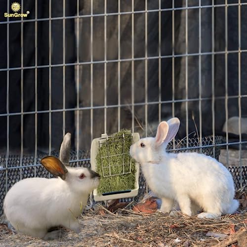 SunGrow Hay Feeder for Rabbits, Hamster, Chinchilla, Indoor Food Dispenser, No Mess Hay Rack Manger for Small Animals, Hanging Alfalfa and Timothy Hay Dispenser, Guinea Pig Cage Accessories, White