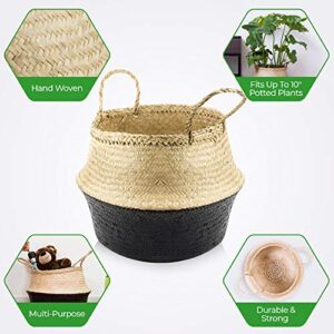 ACELEY Woven Seagrass Belly Basket for Storage – Modern Home Decor Plant Pot Cover, Toy Storage, Wicker Baskets, Plant Basket, Collapsible Laundry Basket, Foldable, Hand Made Seagrass Basket