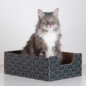 Purrfect Cat Box , Blue