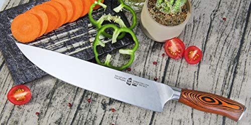 TUO Chef Knife, Pro 10 inch Chefs Knife, German High Carbon Stainless Steel Anti-rust Kitchen Knives, Ergonomic Handle Fiery Phoenix Series Cutlery