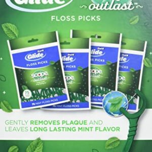 Oral B Complete Glide Floss Pick (300 Count), 300 Count