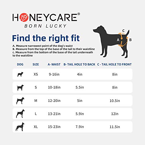 HONEY CARE All-Absorb Disposable Female Dog Diapers L Size, Improved Bigger Size, 22 Count, Super Absorbent, Breathable, Wetness Indicator