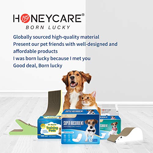 HONEY CARE All-Absorb Disposable Female Dog Diapers Small Size, Improved, 40 Count, Super Absorbent, Breathable, Wetness Indicator