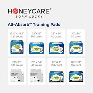 HONEY CARE All-Absorb Disposable Female Dog Diapers Small Size, Improved, 40 Count, Super Absorbent, Breathable, Wetness Indicator