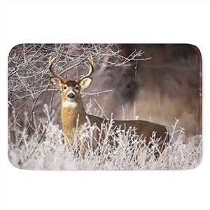 beauty collector soft hallway entrance welcome mat deer prints doormat for bedroom kitchen dorm funny indoor small non slip rug cabin doorway front door mat