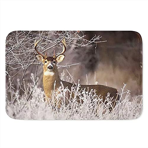 Beauty Collector Soft Hallway Entrance Welcome Mat Deer Prints Doormat for Bedroom Kitchen Dorm Funny Indoor Small Non Slip Rug Cabin Doorway Front Door Mat