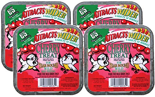 C&S Cherry Treat Bird Suet for Wild Birds, 11.75 Ounces Each (4 Pack - 11.75 Ounces)