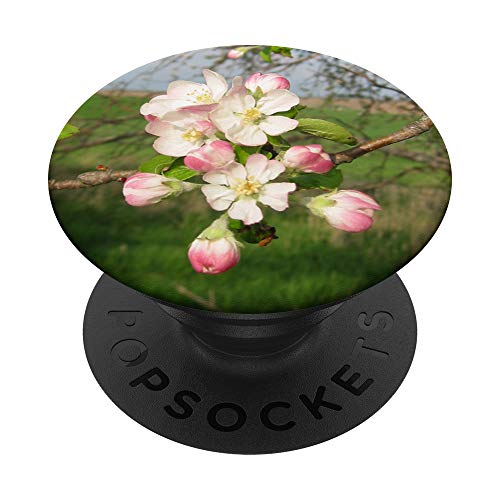 Apple Blossom Flowers Spring Floral Lover Gift