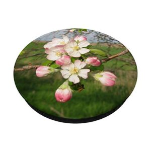 Apple Blossom Flowers Spring Floral Lover Gift