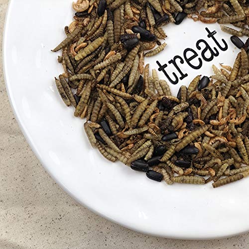 Happy Hen Treats Bug Bonanza, 30 Ounces, Chicken Treat Blend with Fly Larvae, Mealworms, Darkling Beetles, and Gammarus Shrimp