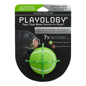 playology dog balls for medium and large dogs (10lbs & up) - dog ball for aggressive chewers - squeaky toy, engaging all-natural sweet potato scented - non-toxic rubber dog ball toys