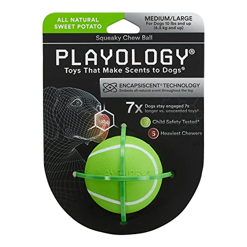 Playology Dog Balls for Medium and Large Dogs (10lbs & Up) - Dog Ball for Aggressive Chewers - Squeaky Toy, Engaging All-Natural Sweet Potato Scented - Non-Toxic Rubber Dog Ball Toys