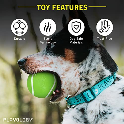 Playology Dog Balls for Medium and Large Dogs (10lbs & Up) - Dog Ball for Aggressive Chewers - Squeaky Toy, Engaging All-Natural Sweet Potato Scented - Non-Toxic Rubber Dog Ball Toys