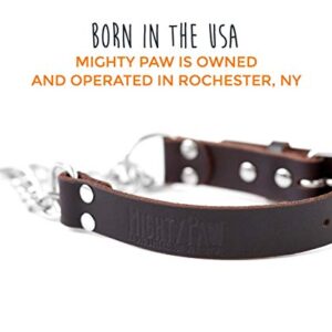 Mighty Paw Leather Martingale Dog Collar | Premium No Pull Dog Collar Martingale Collar for Dogs, Stainless Steel Chain, Limited Chain Cinch Training Collar. for Large, Medium and Small Dogs (Brown)