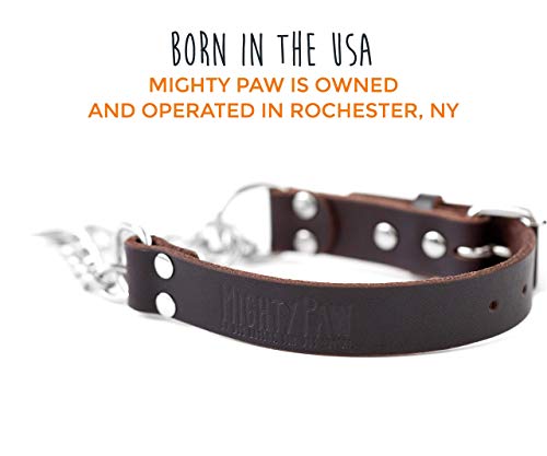 Mighty Paw Leather Martingale Dog Collar | Premium No Pull Dog Collar Martingale Collar for Dogs, Stainless Steel Chain, Limited Chain Cinch Training Collar. for Large, Medium and Small Dogs (Brown)