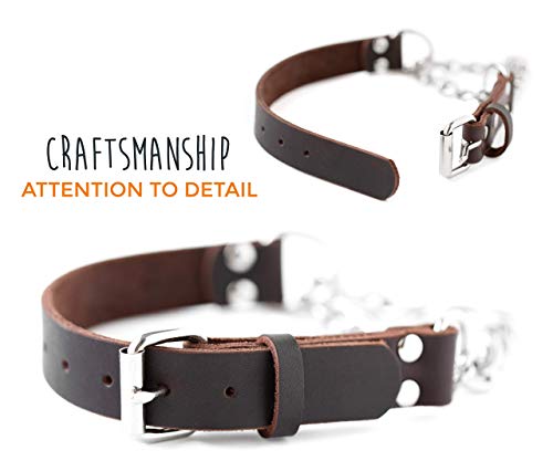 Mighty Paw Leather Martingale Dog Collar | Premium No Pull Dog Collar Martingale Collar for Dogs, Stainless Steel Chain, Limited Chain Cinch Training Collar. for Large, Medium and Small Dogs (Brown)