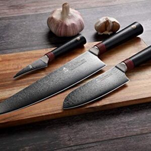 TUO Damascus Chef's Knife - Kitchen Chef Knives - Japanese AUS-10 Damascus Steel - Dishwasher Safe G10 Handle - Gift Case Included - RING-RC Series TC0301RC - 8"