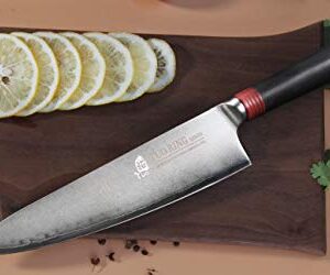 TUO Damascus Chef's Knife - Kitchen Chef Knives - Japanese AUS-10 Damascus Steel - Dishwasher Safe G10 Handle - Gift Case Included - RING-RC Series TC0301RC - 8"