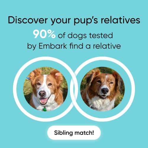 Embark Breed Identification Kit | Most Accurate Dog DNA Test | Test 350+ Dog Breeds | Breed ID Kit with Ancestry & Family Tree