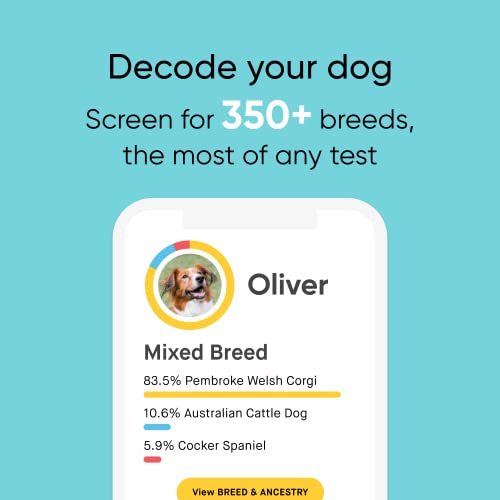 Embark Breed Identification Kit | Most Accurate Dog DNA Test | Test 350+ Dog Breeds | Breed ID Kit with Ancestry & Family Tree