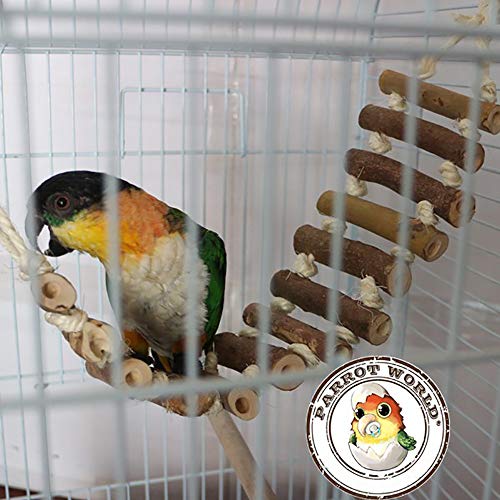 PINVNBY Rope Step Ladder Bridge Bird Toy Cage Hammock Swing Toys for Parrot Parakeet Budgie Cockatiel Pack of 2