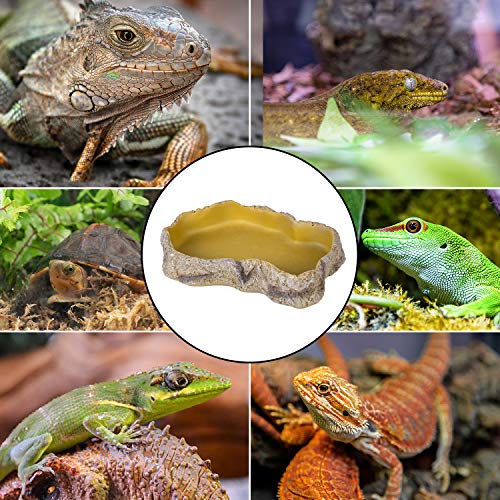 REPTIZOO Reptile Food Dish Terrarium Water Bowl Food Feeding Bowl for Reptile Amphibian Pets Medium(6.8" x 5" x 1.3")