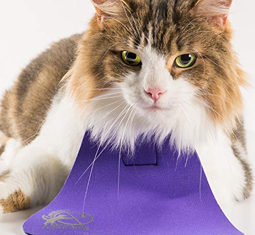 CatBib - Saves Birds, Protects Cats (Small, Turquoise)