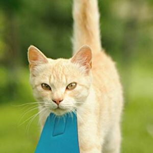 CatBib - Saves Birds, Protects Cats (Small, Turquoise)