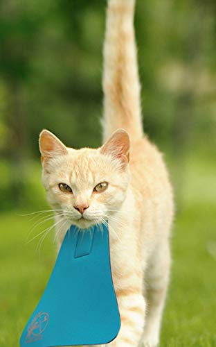 CatBib - Saves Birds, Protects Cats (Small, Turquoise)