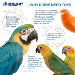 Pervue Pet Products Sound & Movement Miami Frost Bird Toy 62674