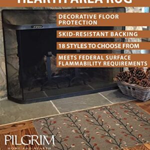 Pilgrim Home and Hearth Pilgrim 19629-1 Fireplace Hearth Rug, Beautiful