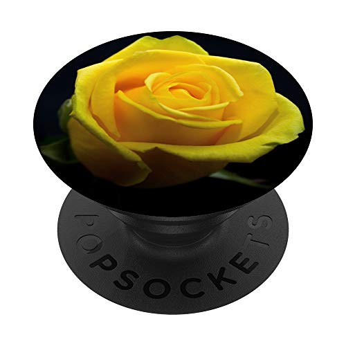 Single Yellow Rose Flower Floral Scene On Black Background PopSockets PopGrip: Swappable Grip for Phones & Tablets