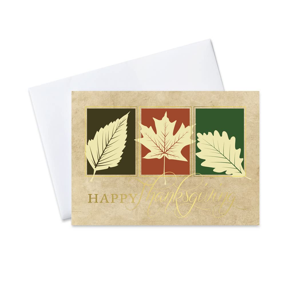 CEO Cards - Foil Stamped Thanksgiving Greeting Cards (Gold Border Leaves), 5.625x7.875 Inches, 25 Cards & 26 White with Gold Foil Lined Envelopes (TH1801)