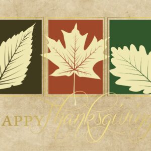 CEO Cards - Foil Stamped Thanksgiving Greeting Cards (Gold Border Leaves), 5.625x7.875 Inches, 25 Cards & 26 White with Gold Foil Lined Envelopes (TH1801)