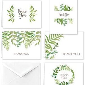 Paper Frenzy Elegant Ferns Thank You Note Cards and Envelopes - 25 pack