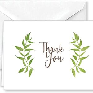 Paper Frenzy Elegant Ferns Thank You Note Cards and Envelopes - 25 pack