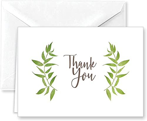 Paper Frenzy Elegant Ferns Thank You Note Cards and Envelopes - 25 pack