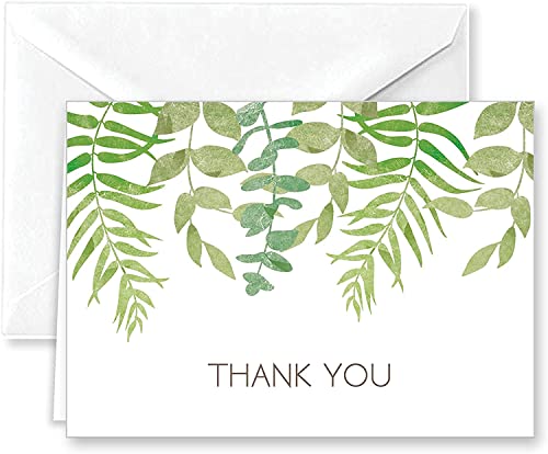 Paper Frenzy Elegant Ferns Thank You Note Cards and Envelopes - 25 pack