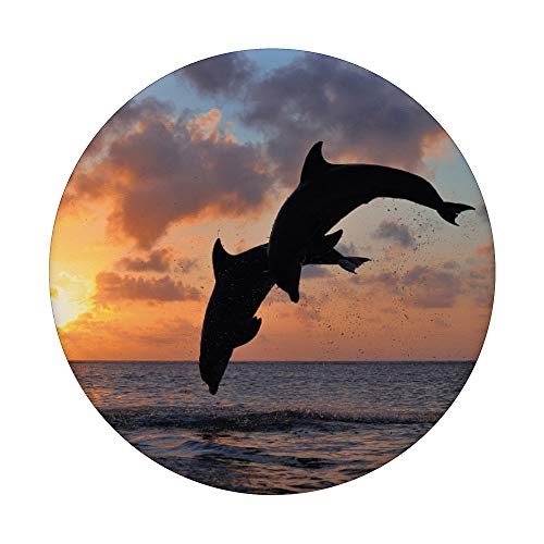 Sunset Dolphins - Cell Phone Mount & Hand Holder Knob 6460 PopSockets PopGrip: Swappable Grip for Phones & Tablets