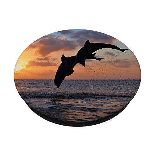 Sunset Dolphins - Cell Phone Mount & Hand Holder Knob 6460 PopSockets PopGrip: Swappable Grip for Phones & Tablets