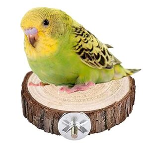 litewoo bird pine platform perch for parakeet cockatiel budgie lovebird canary small bird parrot (l)