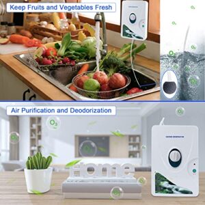 SHD Ozone Generator Water Ozonator O3 Ozone Machine 600mg/h for Home Air, Water, Fruits, Vegetables Clean