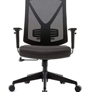 CLATINA Home Office Chair Ergonomic Desk Chair Mid Back Task Chair Mesh Computer Chair with Adjustable Armrest Adjustable Lumbar Support Executive Rolling Swivel Chair for Men Women Adults