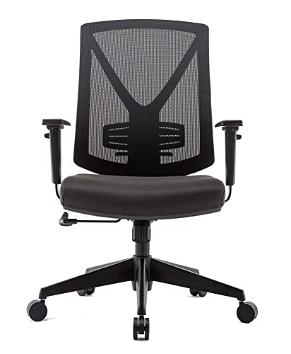 CLATINA Home Office Chair Ergonomic Desk Chair Mid Back Task Chair Mesh Computer Chair with Adjustable Armrest Adjustable Lumbar Support Executive Rolling Swivel Chair for Men Women Adults